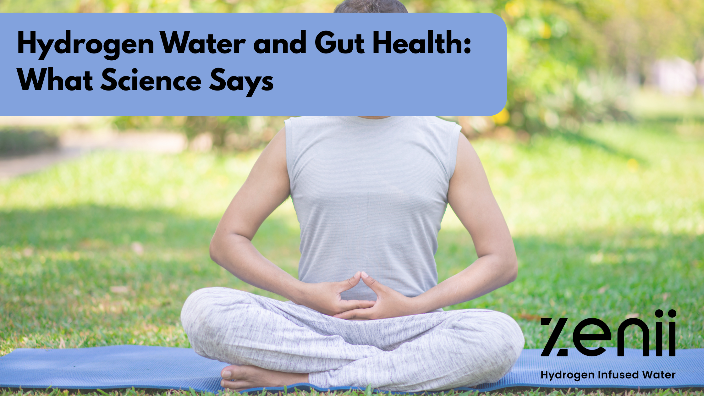 Hydrogen Water and Gut Health: Science‑Backed Insights – Zenii